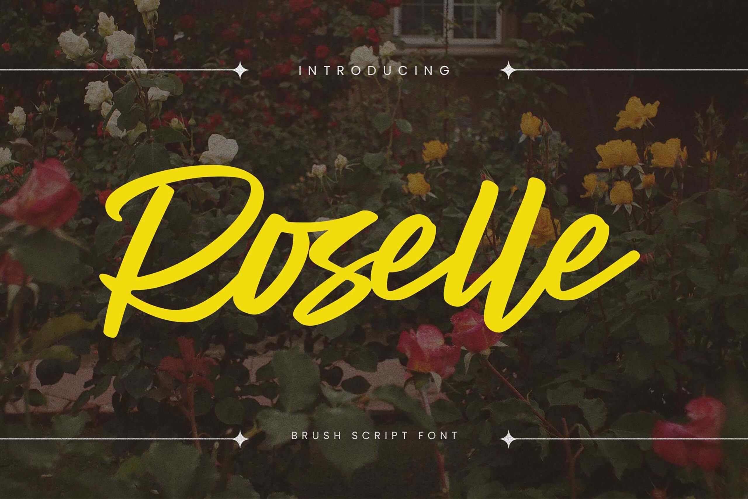 Roselle – Brush Script Font
